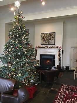 Hotel Carter House Inns, Eureka, United States of America - Lowest Rate ...