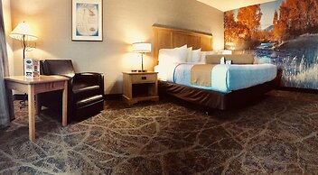 Hotel Best Western Plus GranTree Inn, Bozeman, United States of America ...