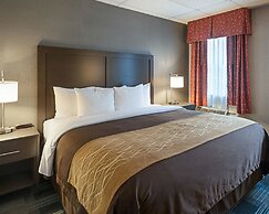 Hotel Comfort Inn Ballston, Arlington, USA, niedrigster Hotel-Tarif ...
