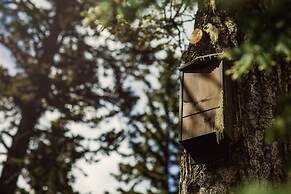 The Juniper Hotel, Banff, Canada - Lowest Rate Guaranteed!