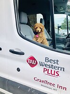 Hotel Best Western Plus GranTree Inn, Bozeman, United States of America ...