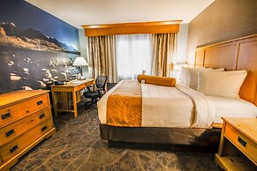 Hotel Best Western Plus GranTree Inn, Bozeman, United States of America ...