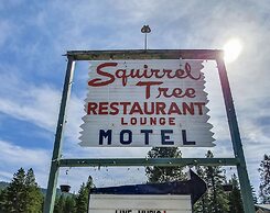 Hotel Squirrel Tree Resort, Leavenworth, United States of America ...